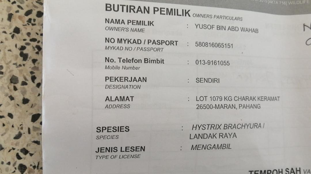 Sistem Pelesenan Jabatan PERHILITAN