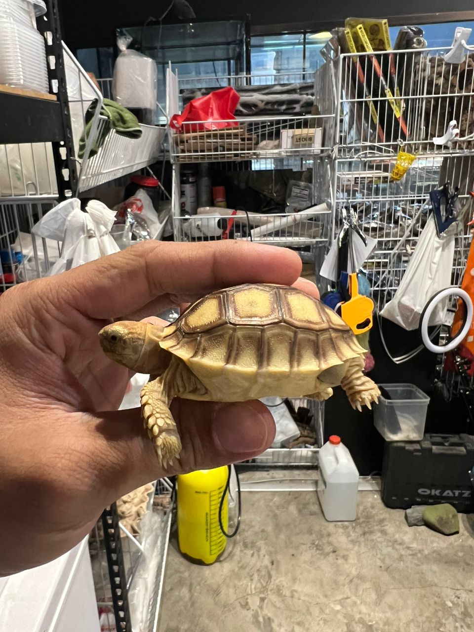 Sistem Pelesenan Jabatan PERHILITAN