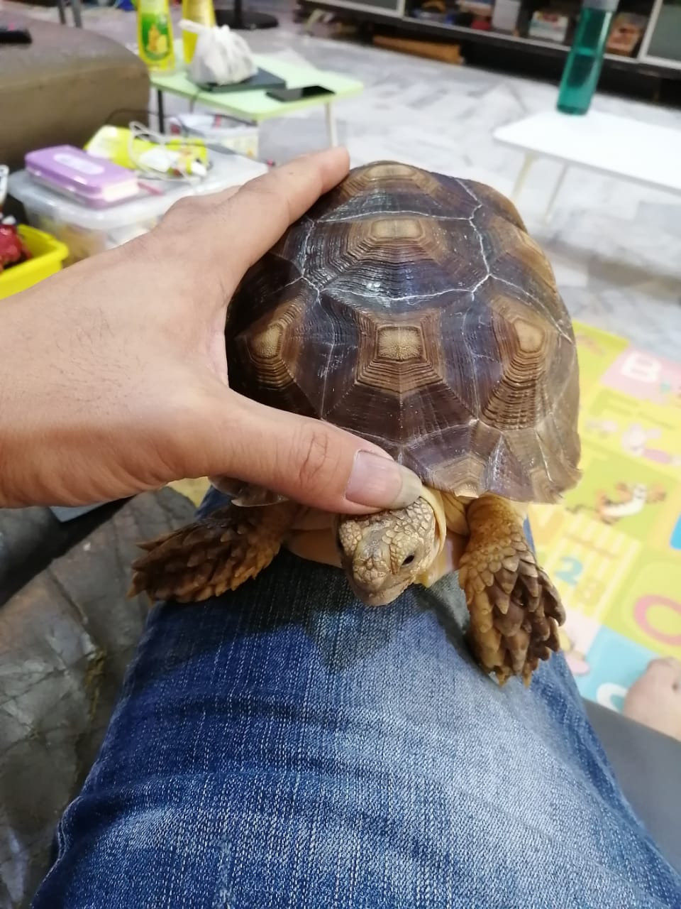 Sistem Pelesenan Jabatan PERHILITAN