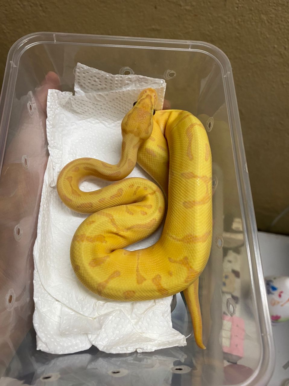 Sistem Pelesenan Jabatan PERHILITAN