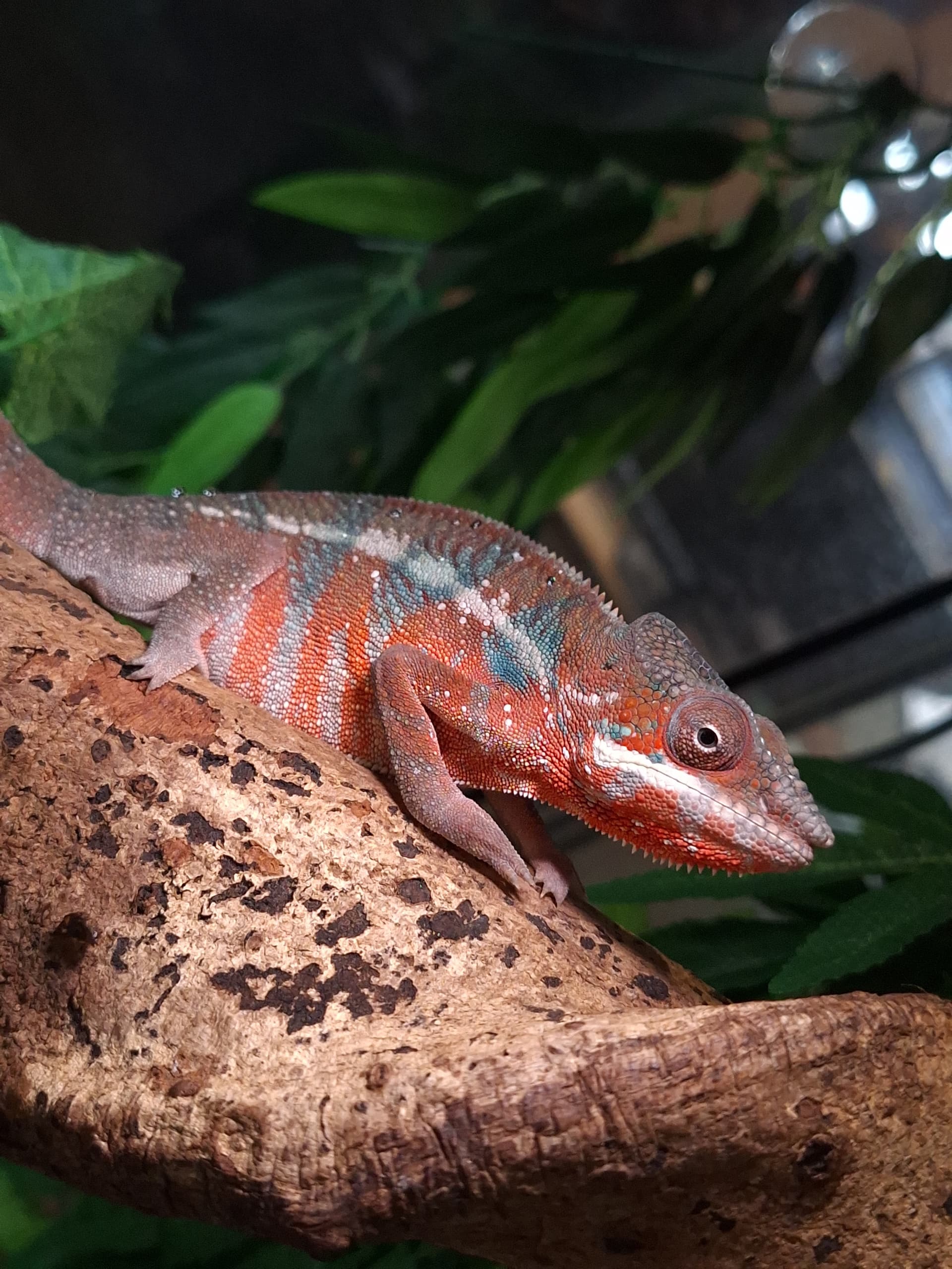 Sistem Pelesenan Jabatan PERHILITAN